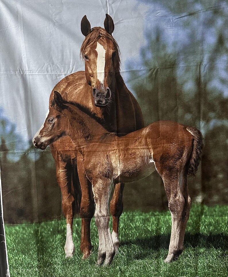 Fabric Quilt Panel - Etsy