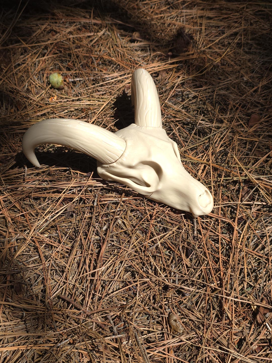 Houndoom Skull - Etsy