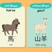 Animal Flashcards | Instant Download Traditional Mandarin Animal ...