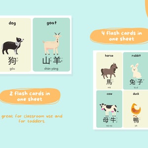 Animal Flashcards | Instant Download Traditional Mandarin Animal ...