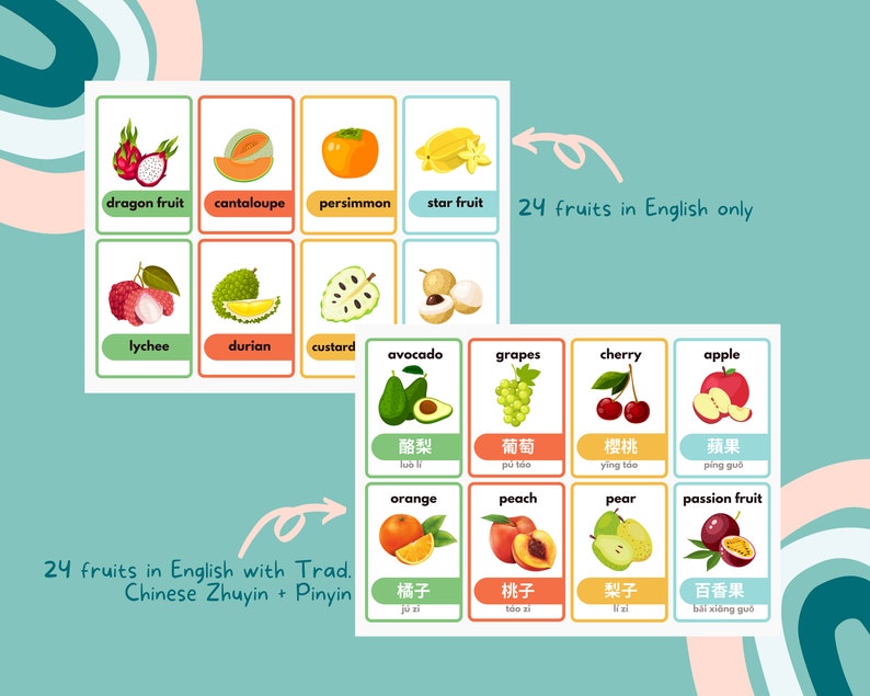 24 Fruits Bilingual Flash Cards English-traditional Chinese - Etsy