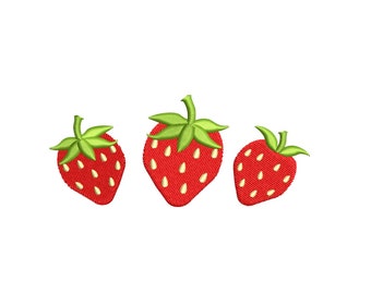 Strawberry Floral Mini Embroidery Design - Etsy
