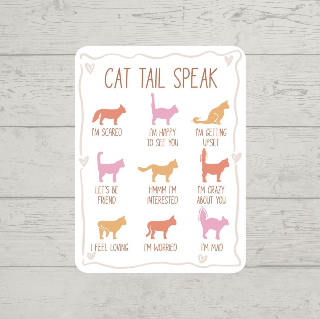 Cat Tail Speak Sticker Waterproof Glossy Vinyl Sticker Cute Gift ...