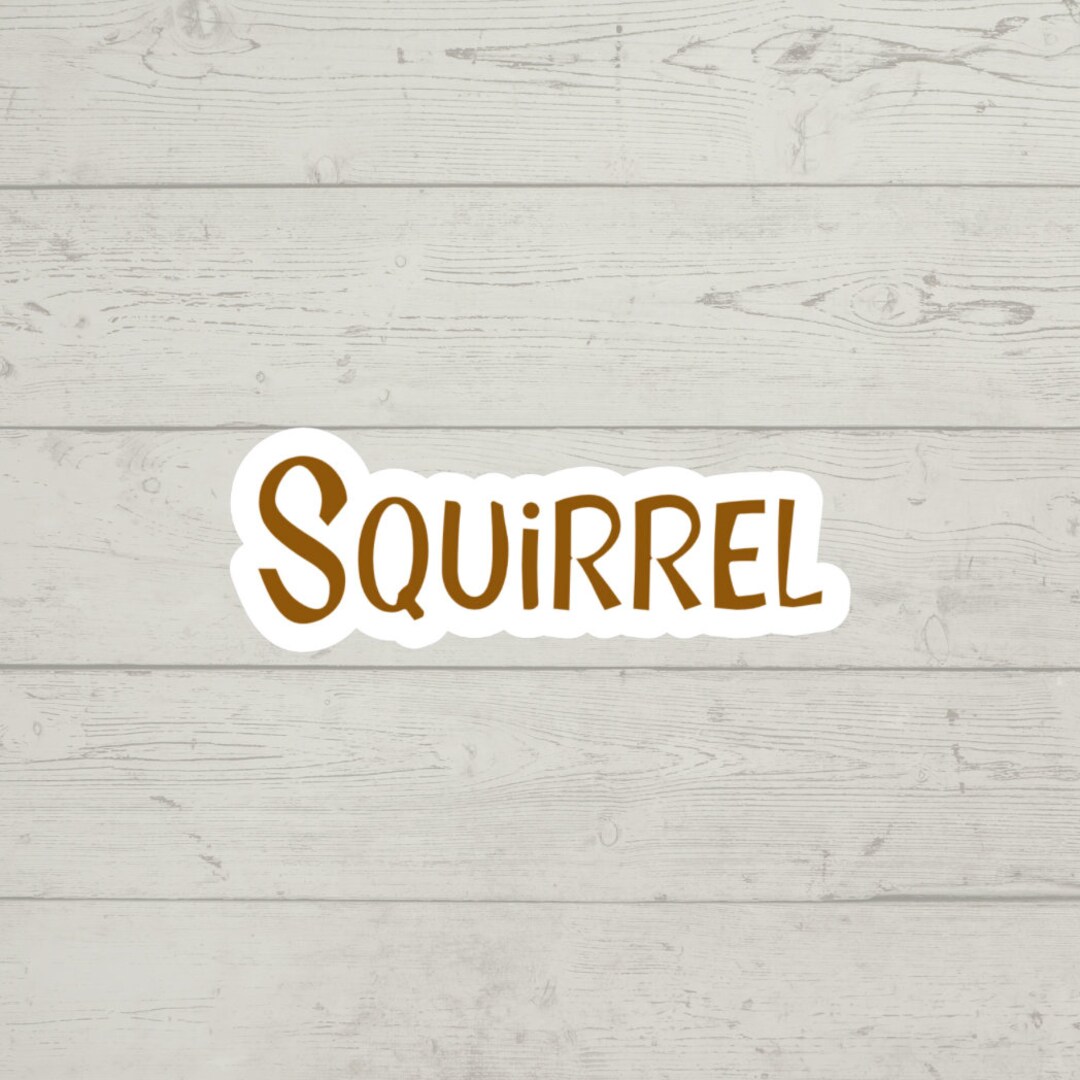 Squirrel Sticker - ADHD Side Tracked Waterproof Glossy Vinyl Sticker ...