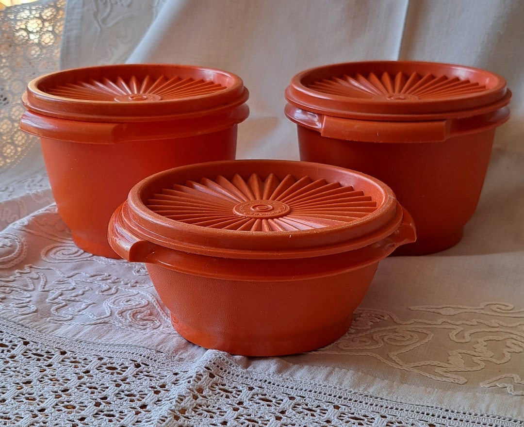 Tupperware Orange 1 Cup and 2 Cup Storage Containers - Etsy