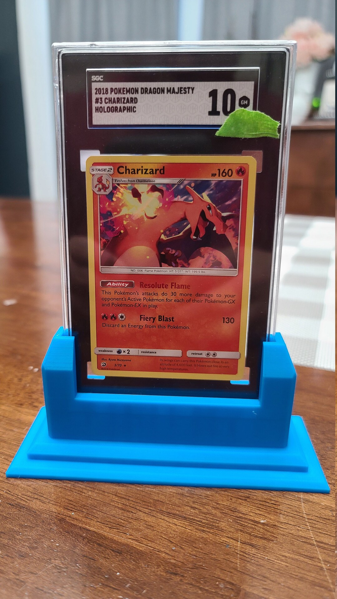 SGC & PSA Display Holders - Etsy