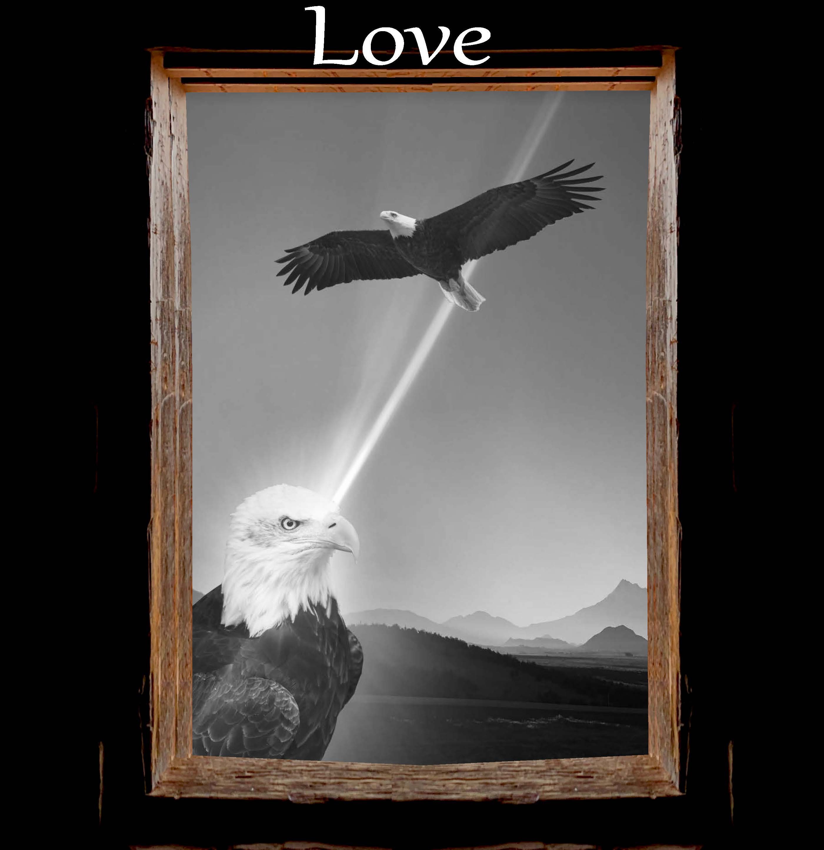 Humility and the Wolf - Etsy