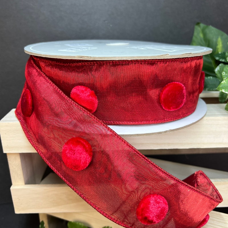 Sheer Wired Ribbon - Etsy