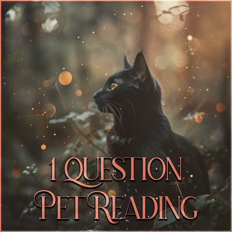 1 Question Pet Reading- Psychic Reading for Your Pet. Understand Your ...