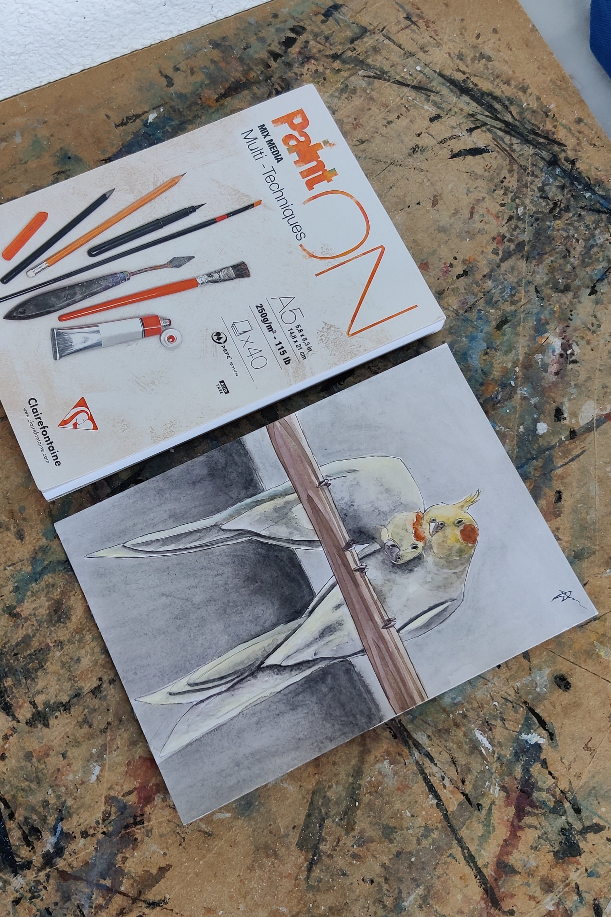 Pair of Nymphic Parakeets - Etsy