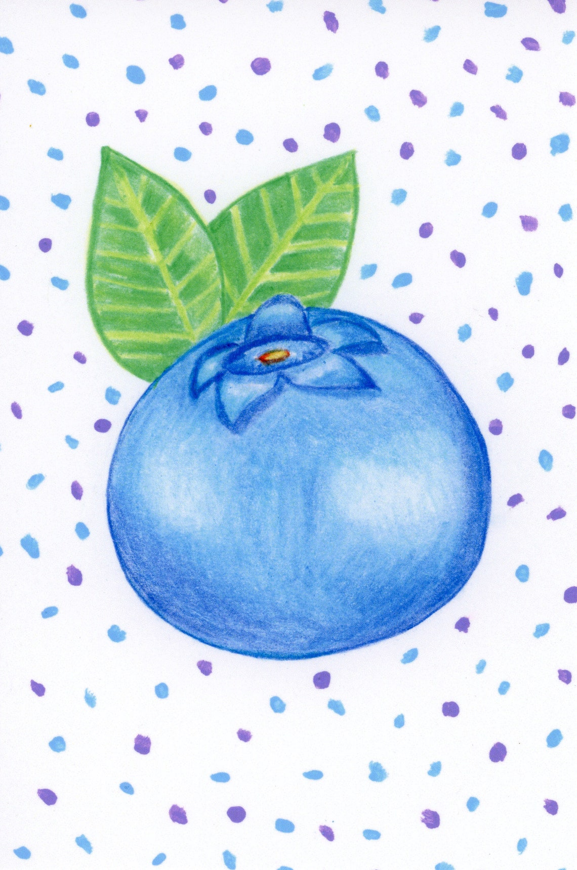 Blueberry Print, Fruit Print, Blueberry Art - Etsy
