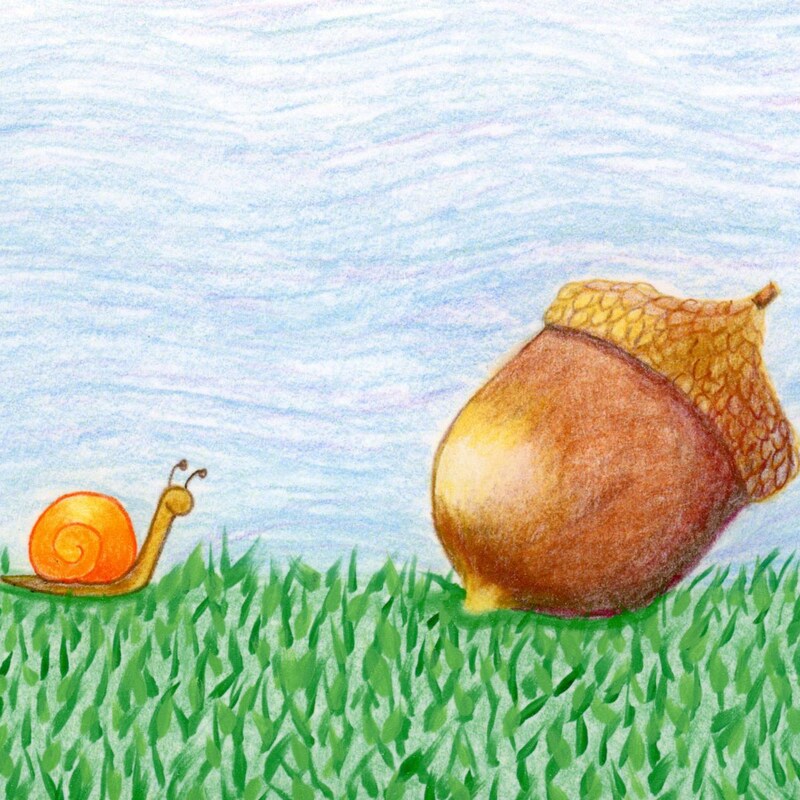 Acorn Drawing - Etsy