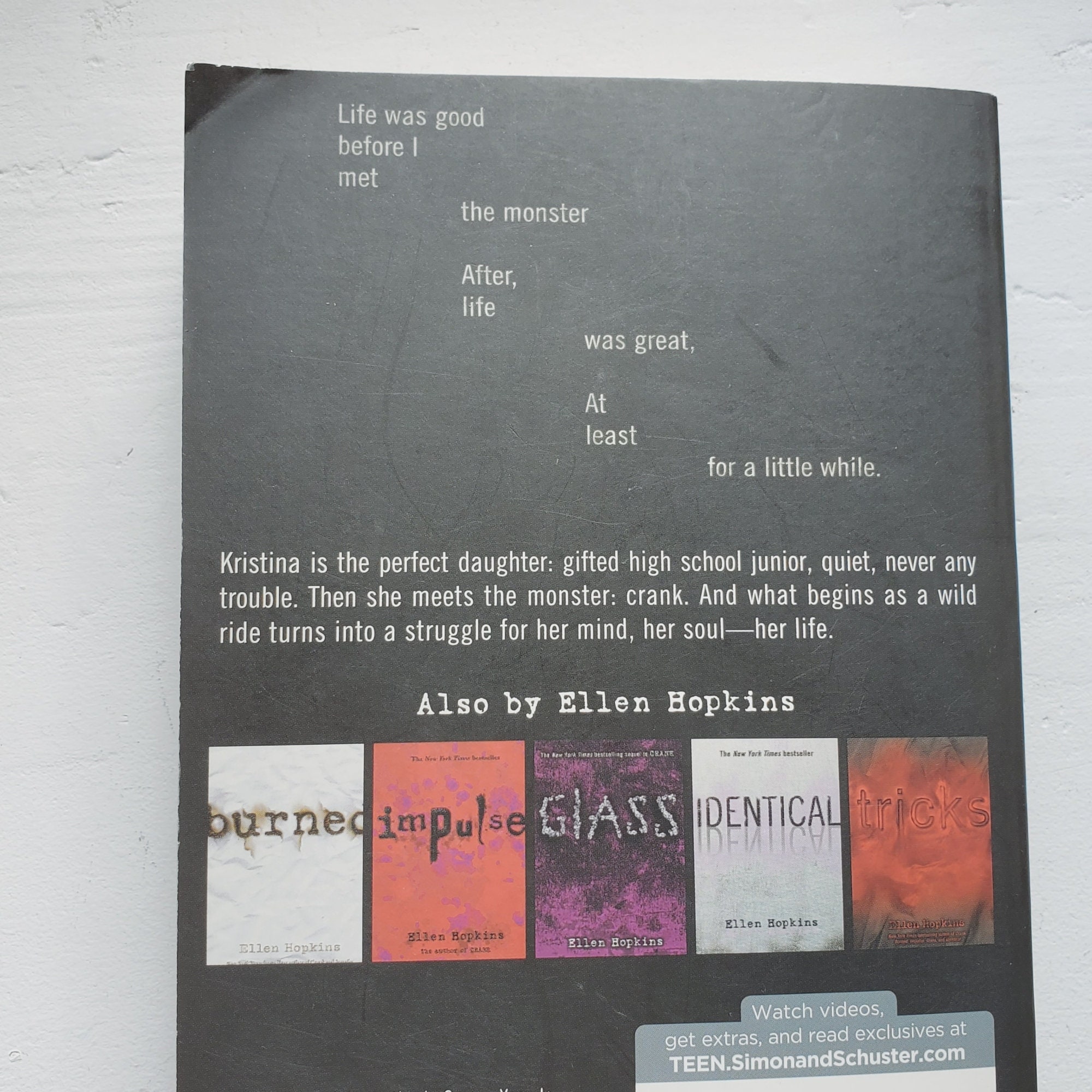 CRANK by Ellen Hopkins 2004 Fiction Novel Young Adult - Etsy