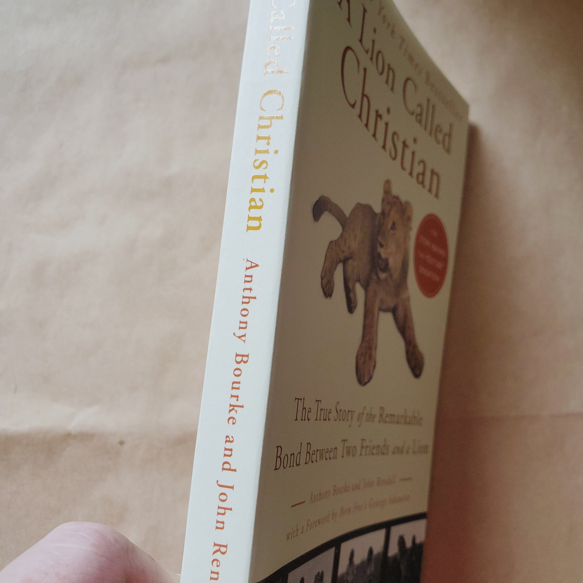 A LION Called Christian by Anthony Bourke and John Rendall - Etsy