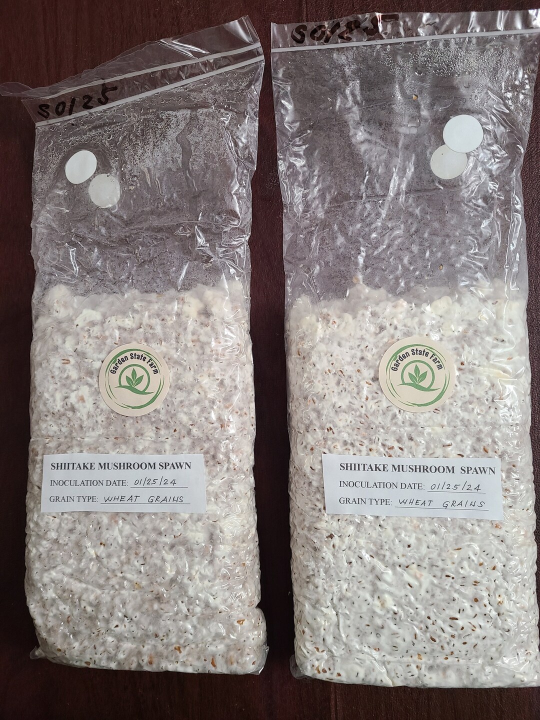 Shiitake Mushroom Spawn - Etsy