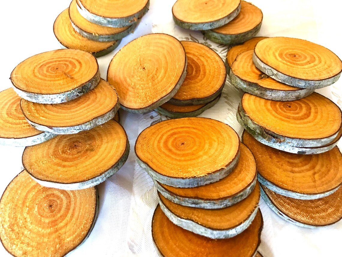 Aspen Log Wood Slices Natural Forest Decor Wood Stand - Etsy