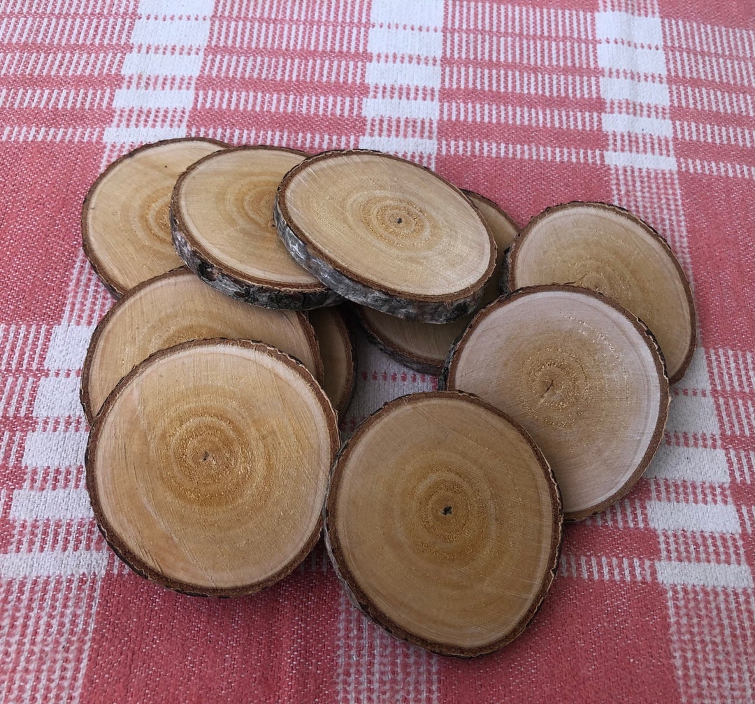 10 Birch Wood Slices, Natural Forest Decor, Wood Stand, Slices for DIY ...