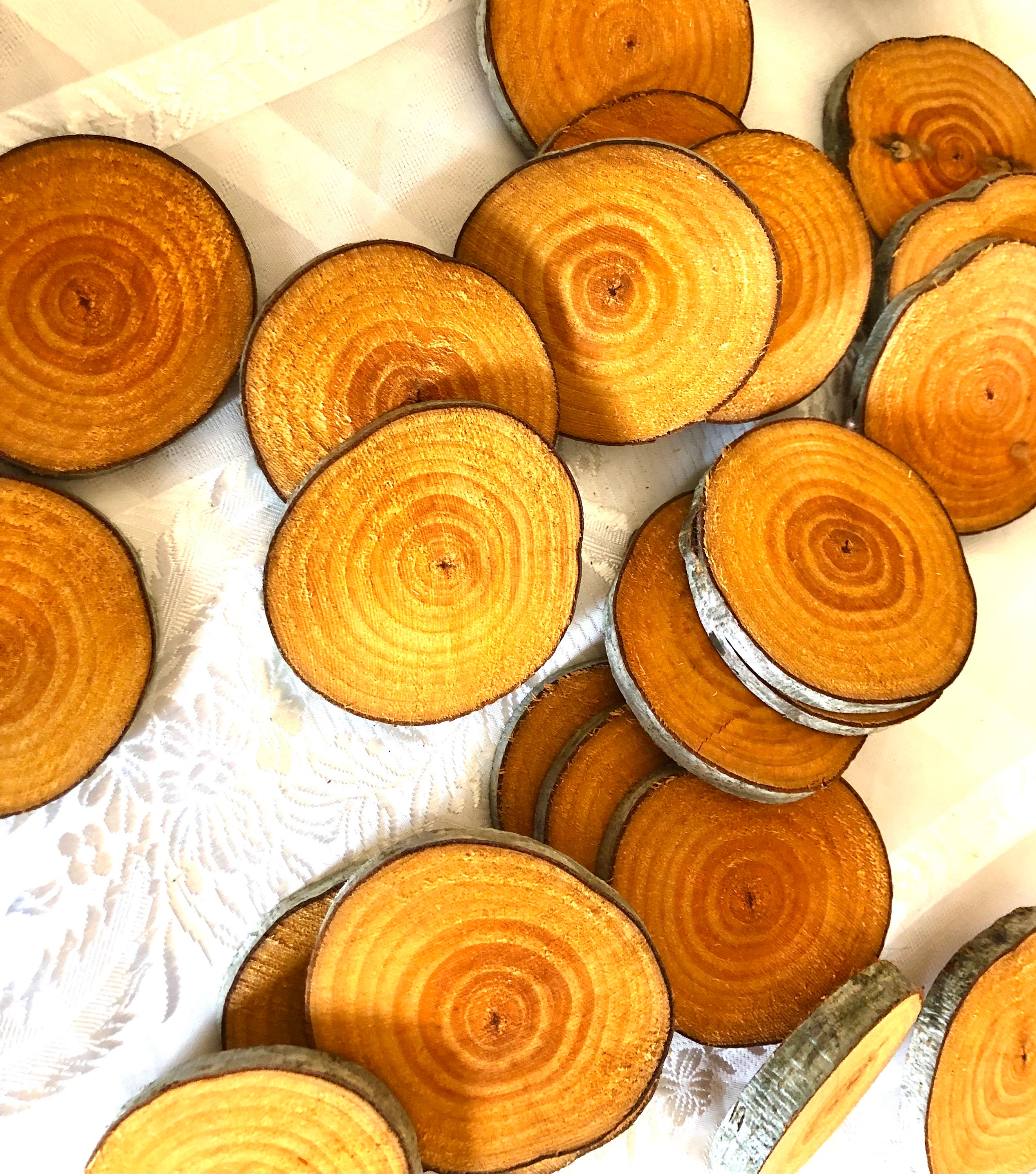 Aspen Log Wood Slices Natural Forest Decor Wood Stand - Etsy