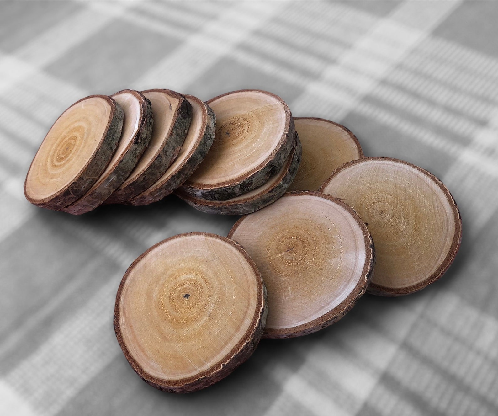 Birch Log Wood Slices, Natural Forest Decor, Wood Stand, Slices for DIY ...