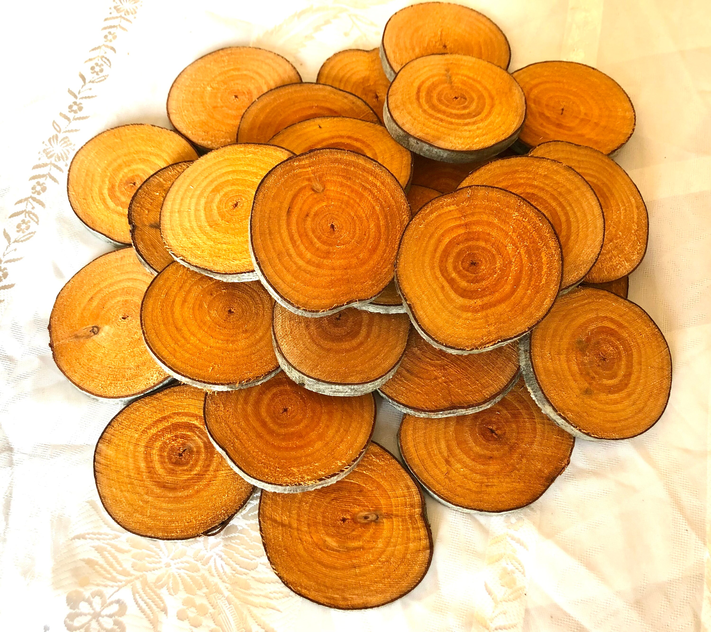 Aspen Log Wood Slices Natural Forest Decor Wood Stand - Etsy