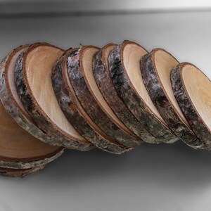 Birch Log Wood Slices, Natural Forest Decor, Wood Stand, Slices for DIY ...