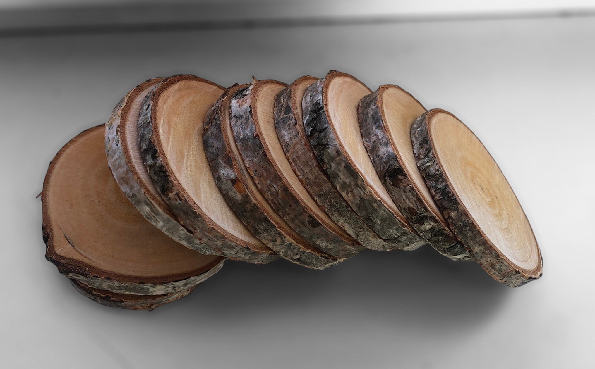 Birch Log Wood Slices, Natural Forest Decor, Wood Stand, Slices for DIY ...