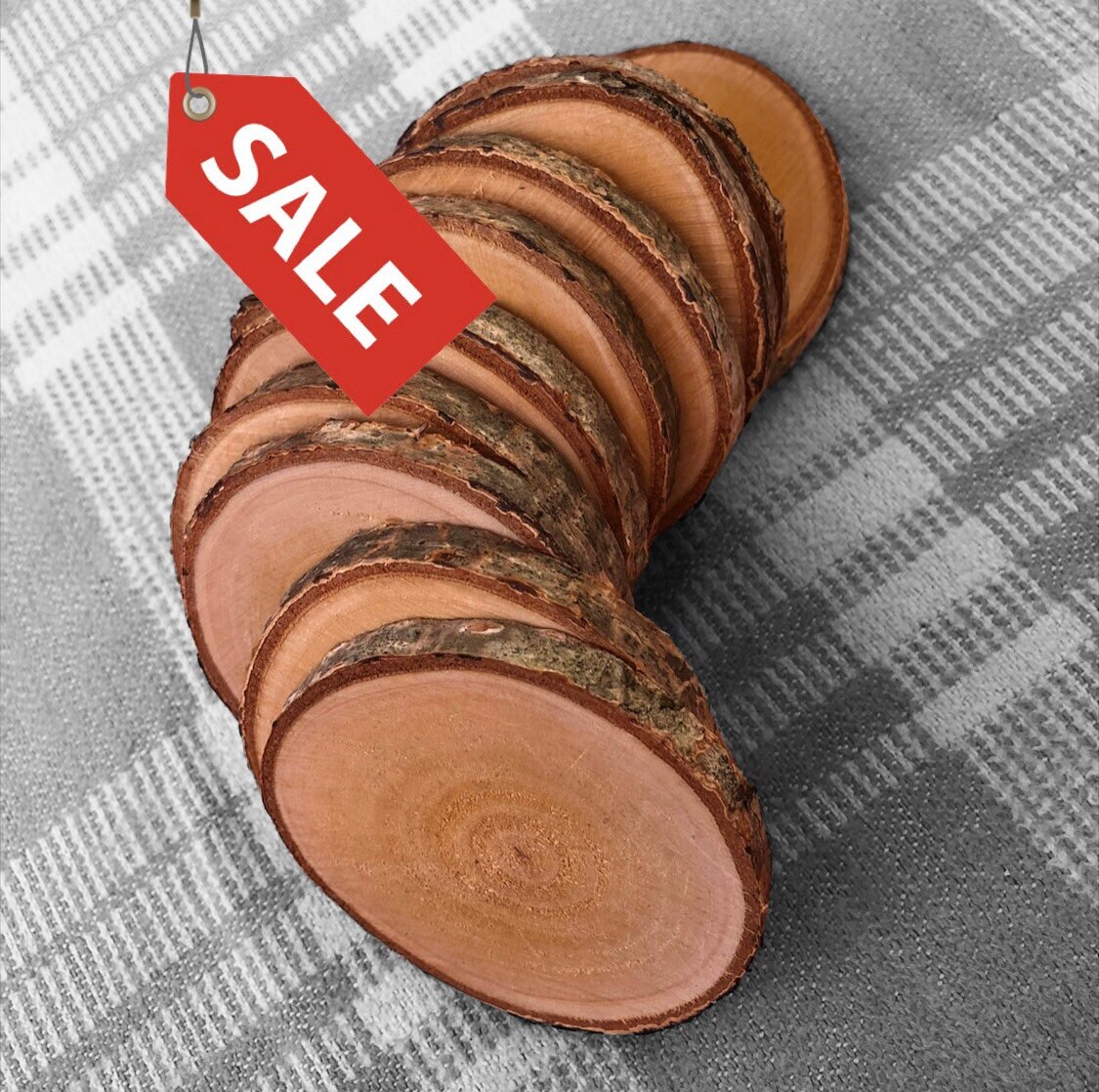 Birch Log Wood Slices, Natural Forest Decor, Wood Stand, Slices for DIY ...