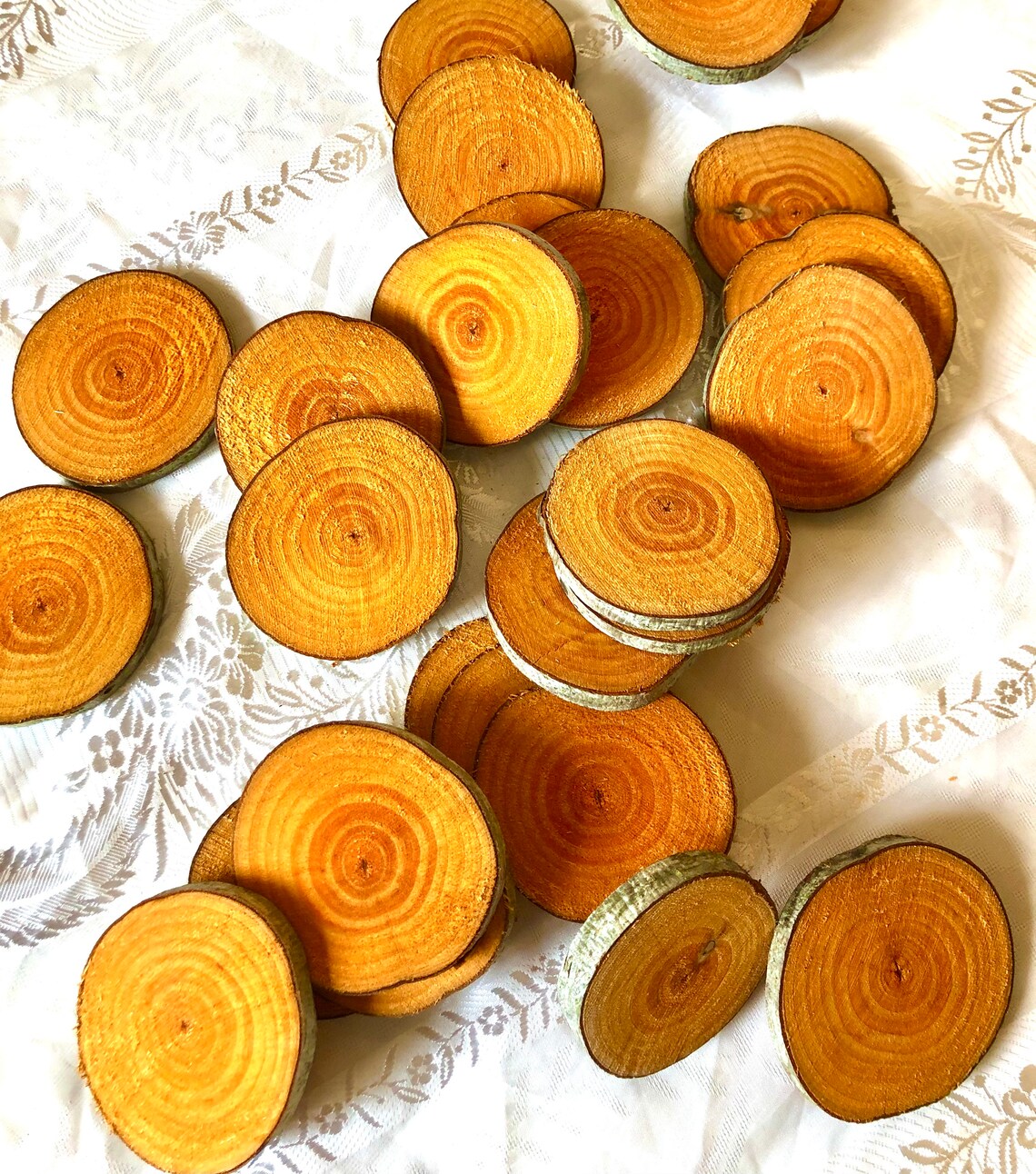 Aspen Log Wood Slices Natural Forest Decor Wood Stand - Etsy
