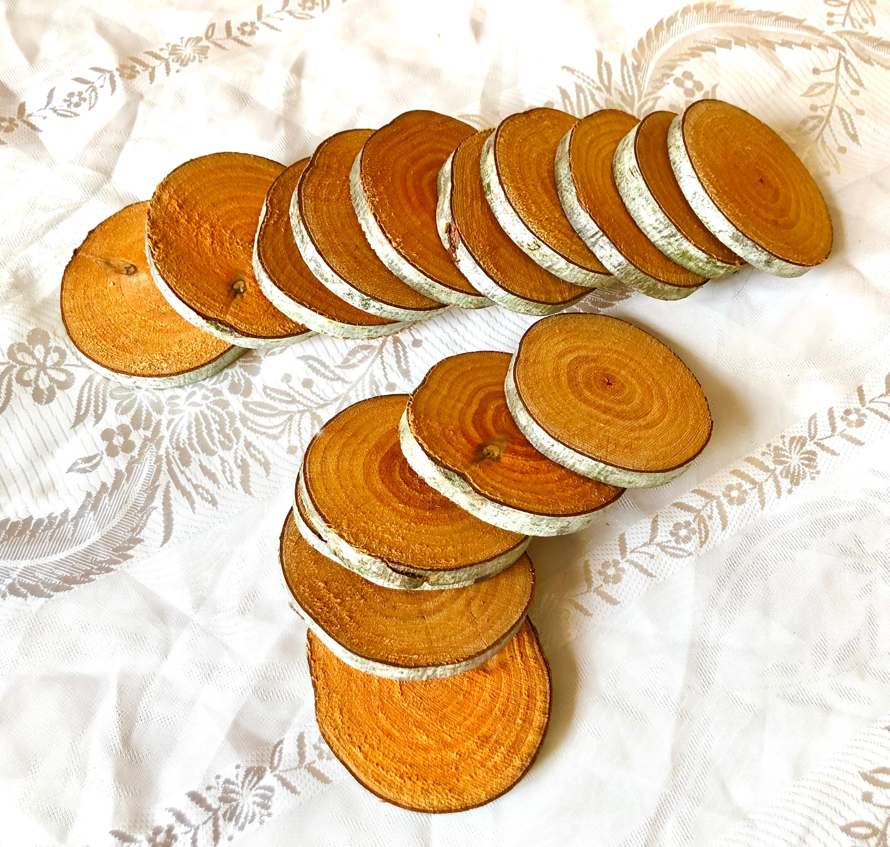 Aspen Log Wood Slices Natural Forest Decor Wood Stand - Etsy