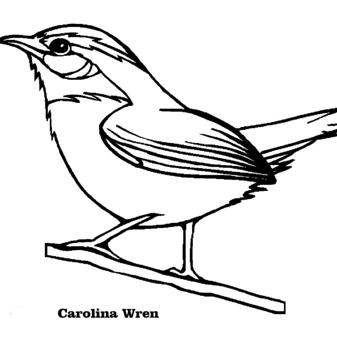 23 Printable Coloring Birds Pages for Kids Printable | Etsy