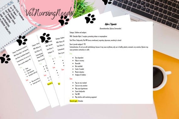 Surgery Anesthesia Cheat Sheets Pre-med Inductions and - Etsy