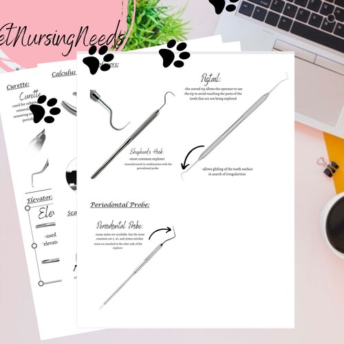 DENTAL INSTRUMENTS CHEATSHEET Explorers Periodontal Probes - Etsy