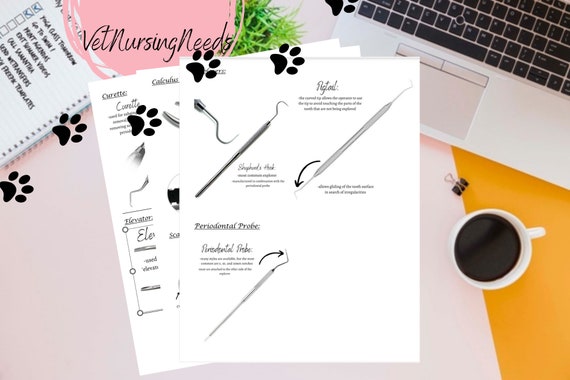DENTAL INSTRUMENTS CHEATSHEET Explorers Periodontal Probes | Etsy