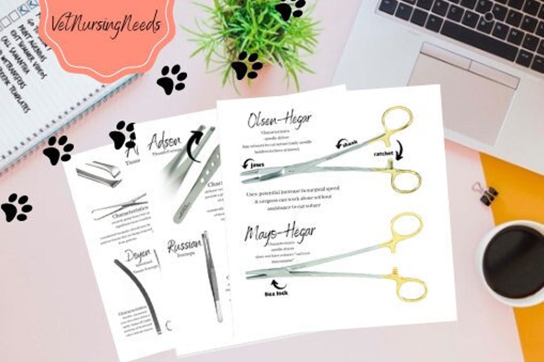 Veterinary Surgical Instruments Cheat Sheet| Needle Holders, Forceps ...