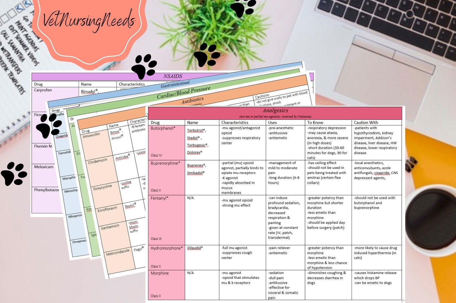 PHARMACOLOGY BUNDLE| Analgesics, Antimicrobials, Antiparasitics ...