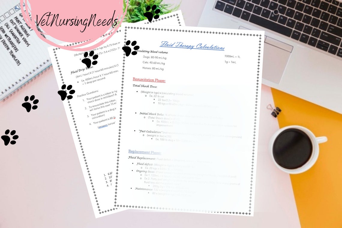 FLUID THERAPY CALCULATIONS| Shock Doses, Boluses, Fluid Deficit ...