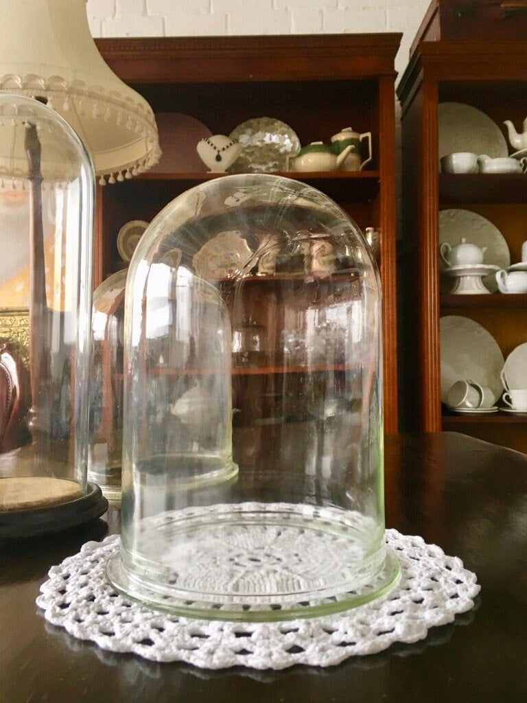 Victorian Antique Glass Dome Victorian Antique Display Dome - Etsy