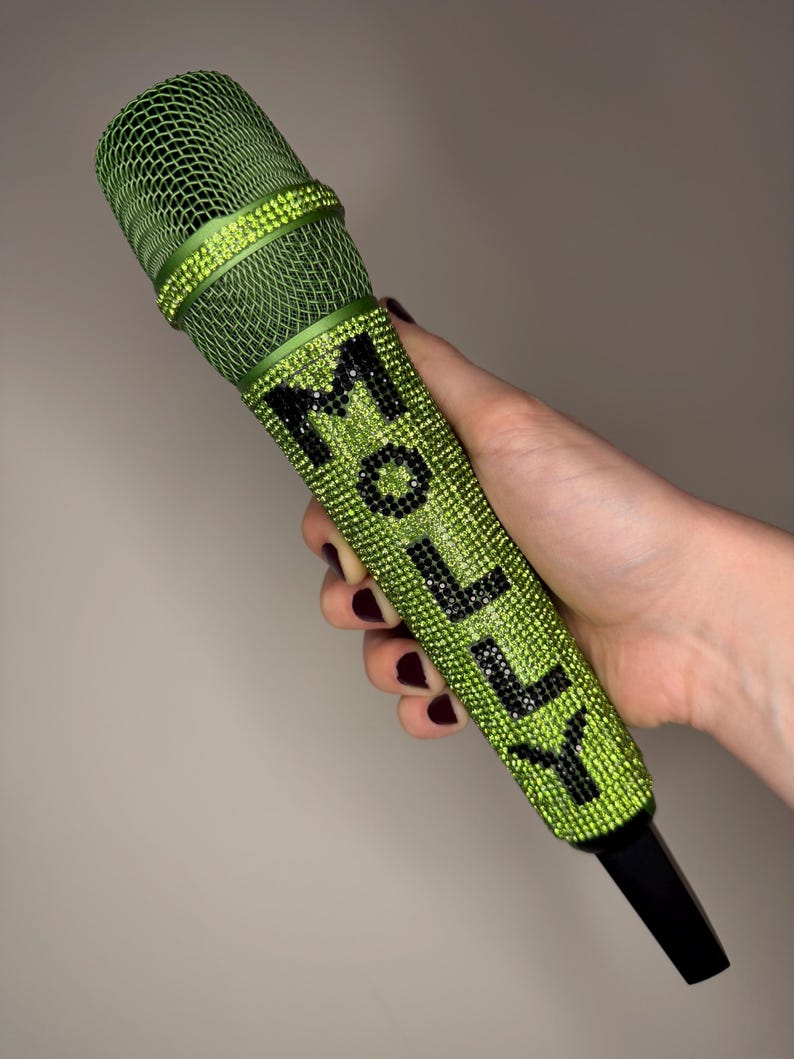 Custom Name Mic - Karaoke or Professional Wireless Microphone Receiver ...