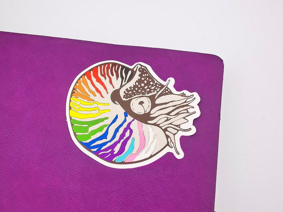 Queerutili LGBTQ Queer Pride Flag Nautilus Ammonite Stickers Pride in ...