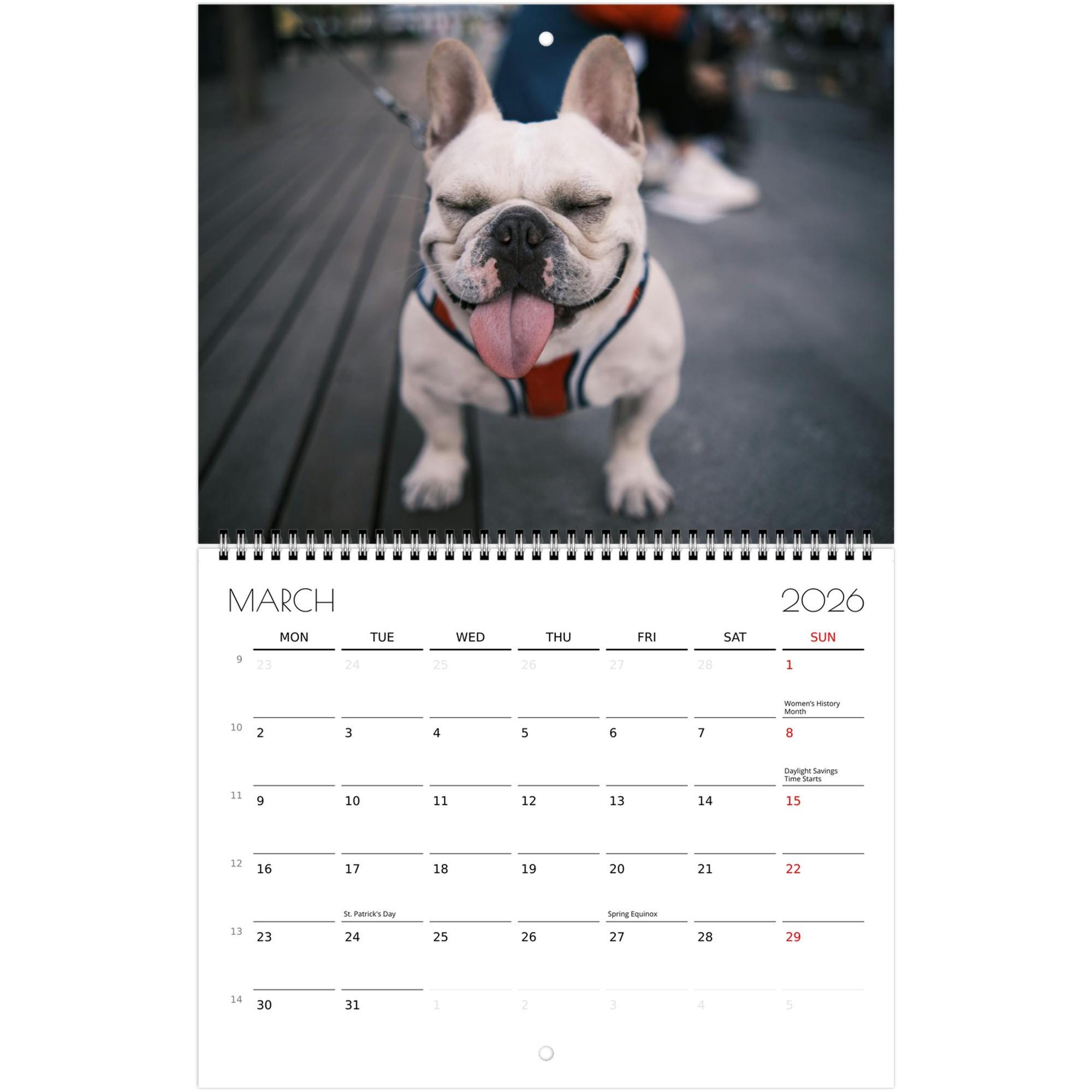 2026 French Bulldog Calendar Cute Frenchie Dog Photos 8x11 Wall ...