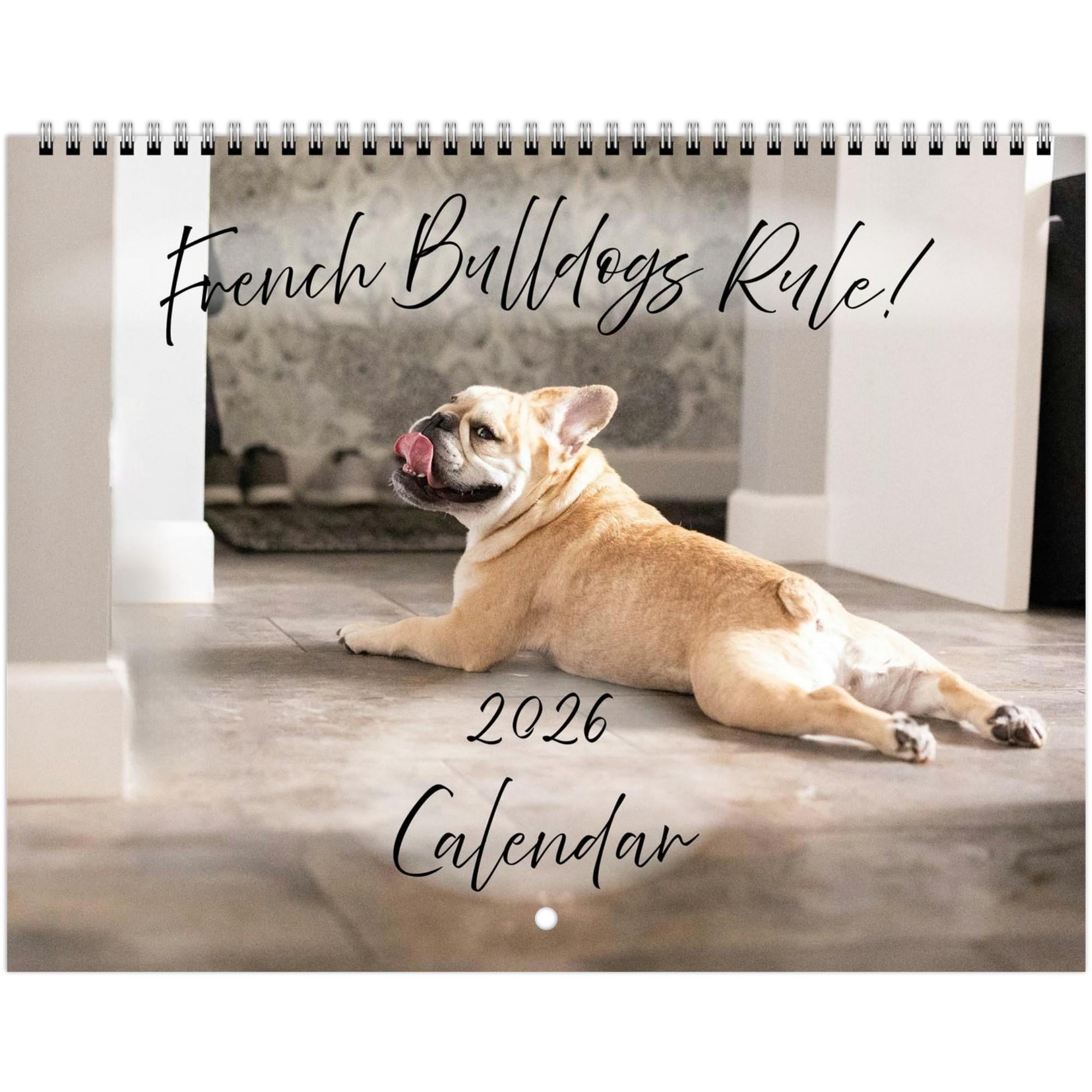 2026 French Bulldog Calendar Cute Frenchie Dog Photos 8x11 Wall ...