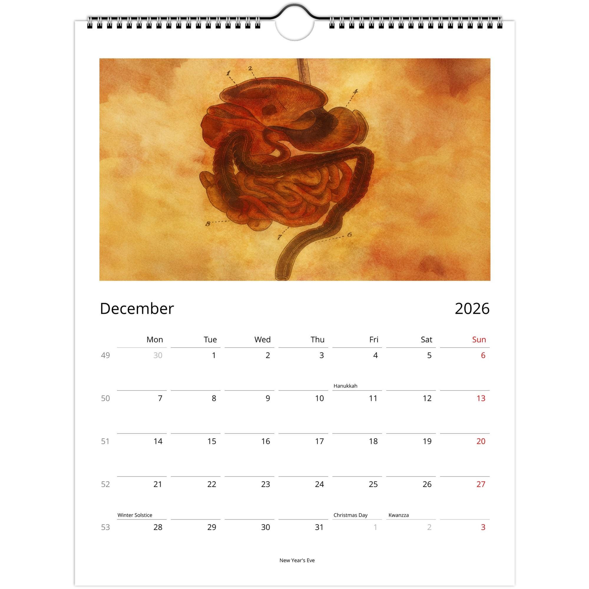 2026 Anatomy Wall Calendar Vintage Medical Illustration Eco-friendly ...