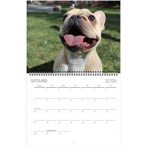 2026 French Bulldog Calendar Cute Frenchie Dog Photos 8x11 Wall ...