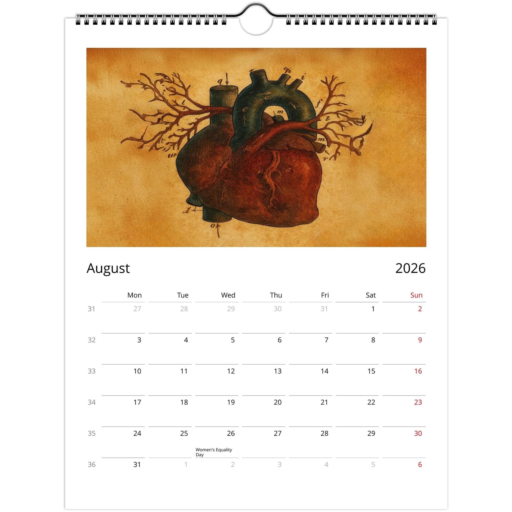 2026 Anatomy Wall Calendar Vintage Medical Illustration Eco-friendly ...