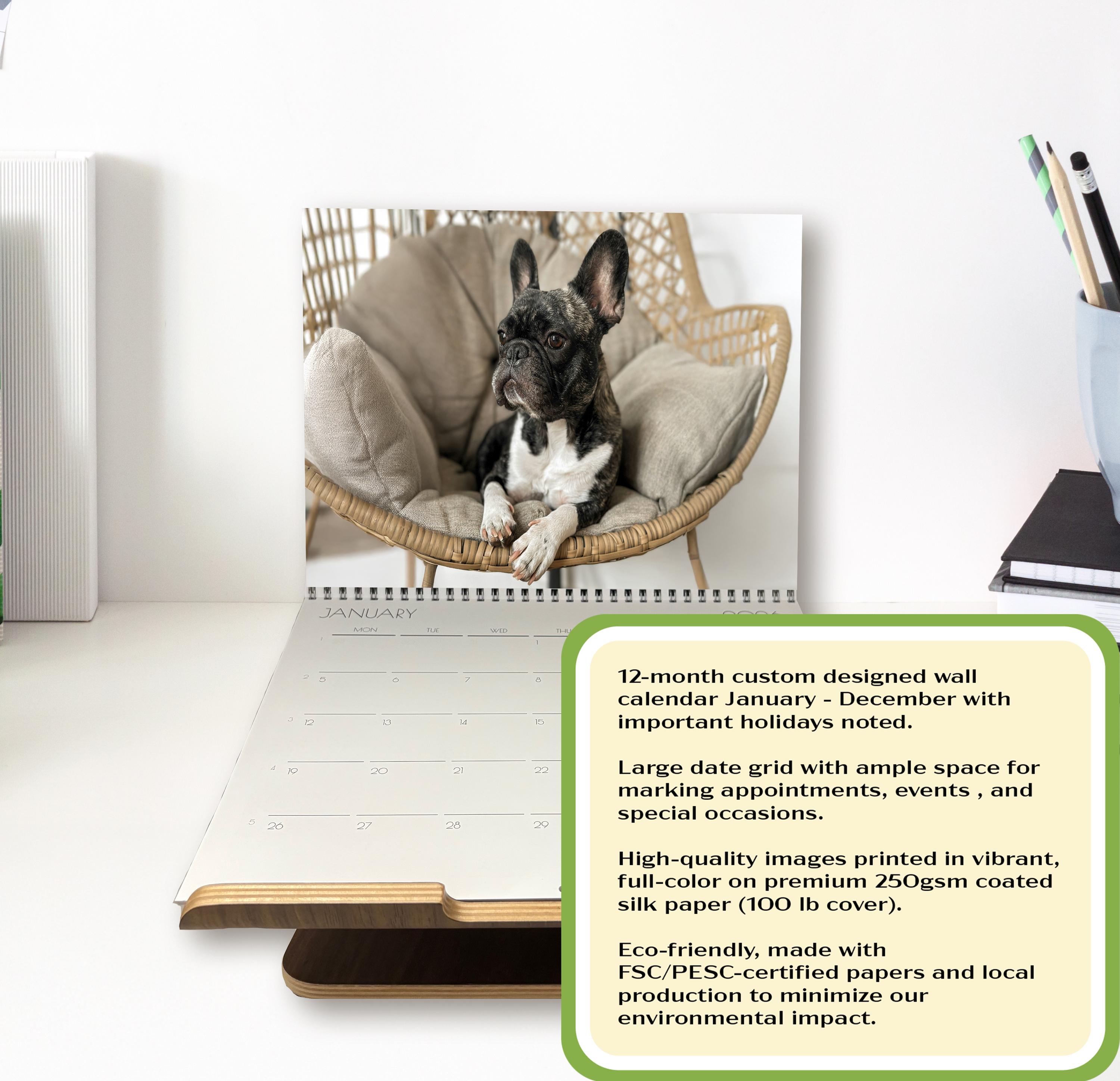 2026 French Bulldog Calendar Cute Frenchie Dog Photos 8x11 Wall ...