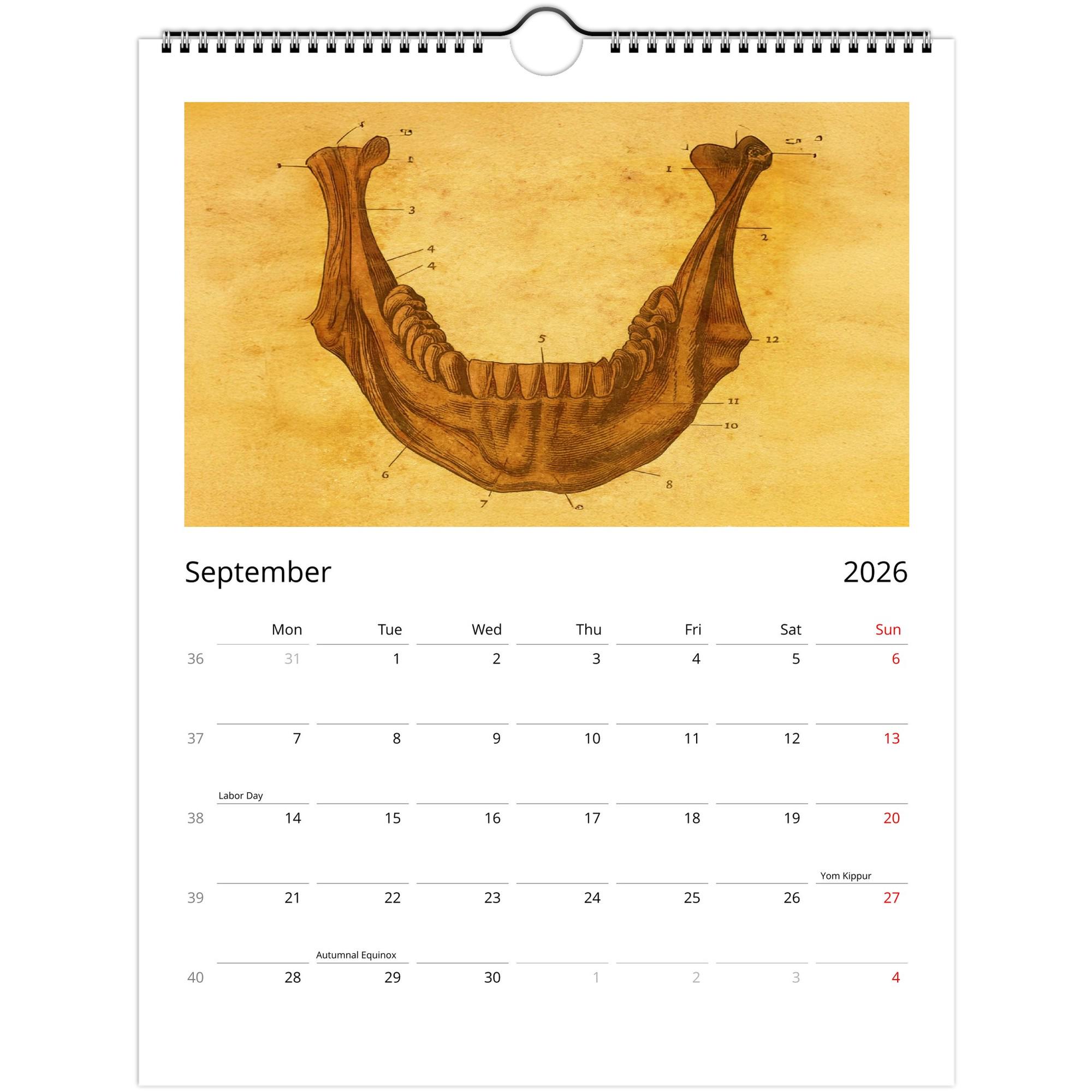 2026 Anatomy Wall Calendar Vintage Medical Illustration Eco-friendly ...