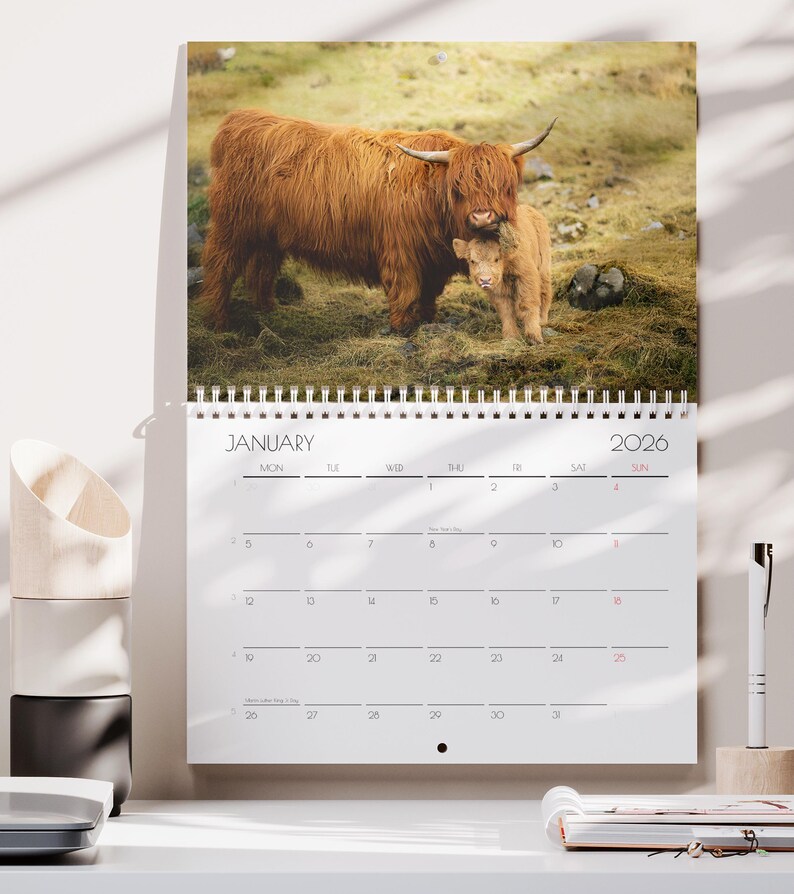 2026 Highland Cows Wall Calendar 12-month Rustic Scottish Countryside ...