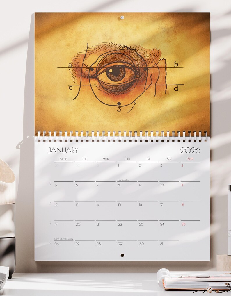 2026 Anatomy Wall Calendar Vintage Medical Illustration Eco-friendly ...