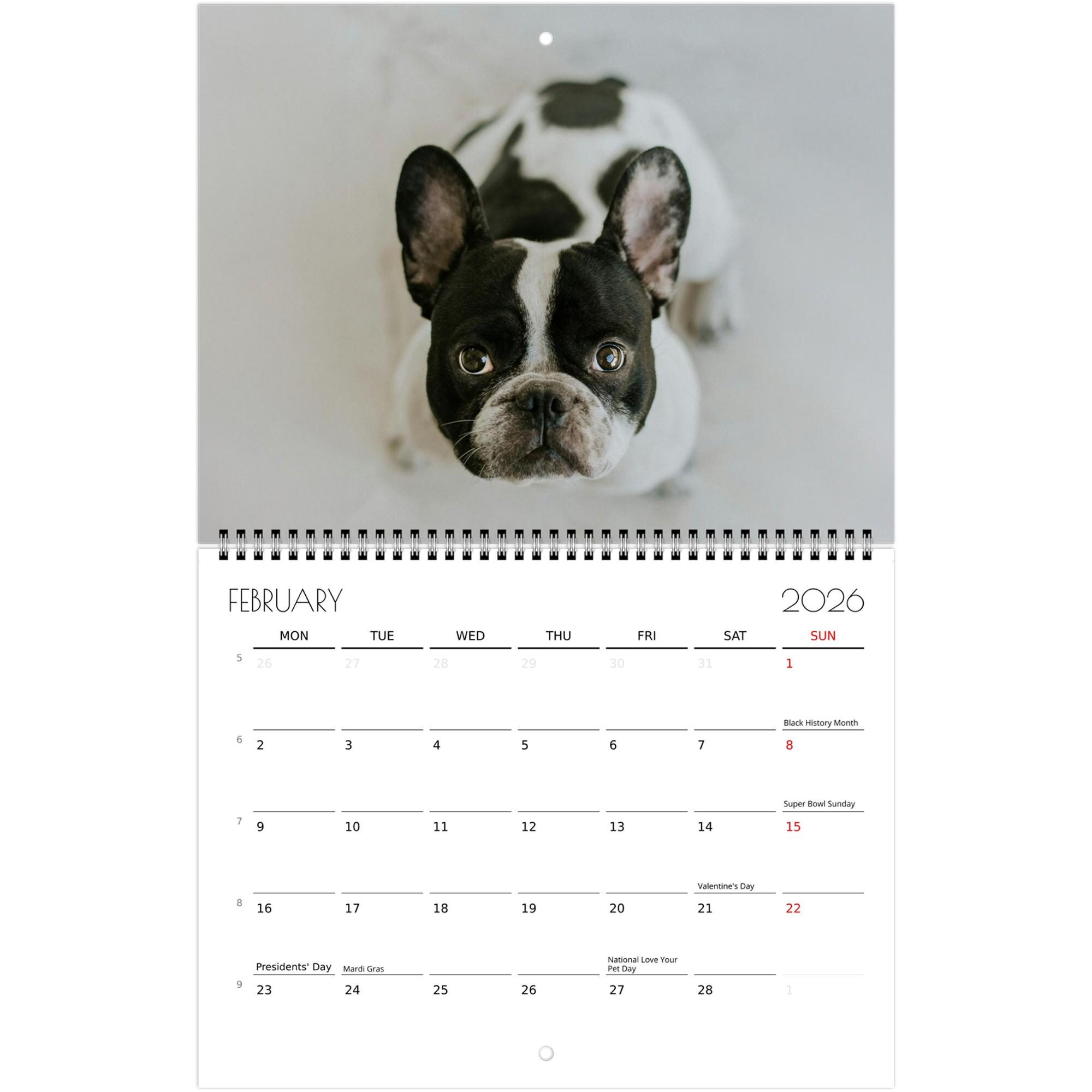 2026 French Bulldog Calendar Cute Frenchie Dog Photos 8x11 Wall ...