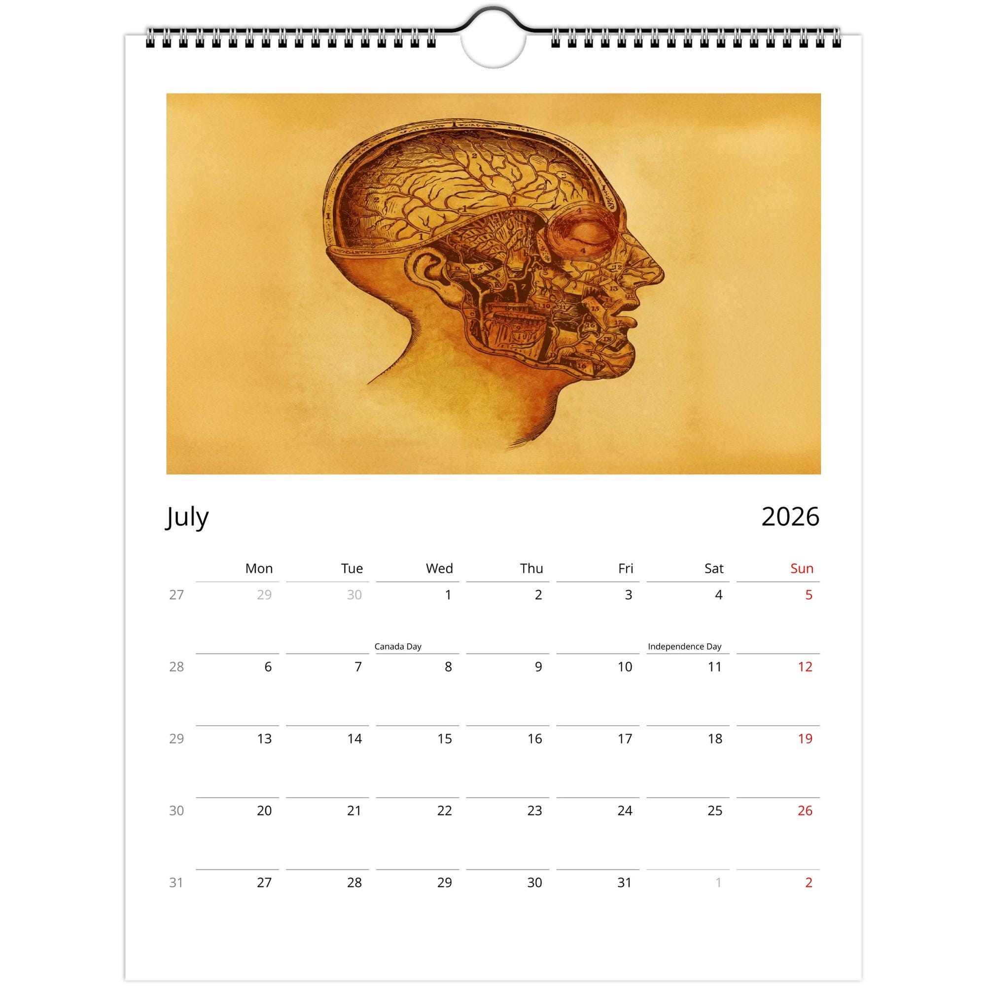 2026 Anatomy Wall Calendar Vintage Medical Illustration Eco-friendly ...